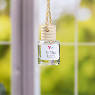Car Diffuser | Non-Toxic Car Air Freshener | Hanging Car Diffuser | Car ...